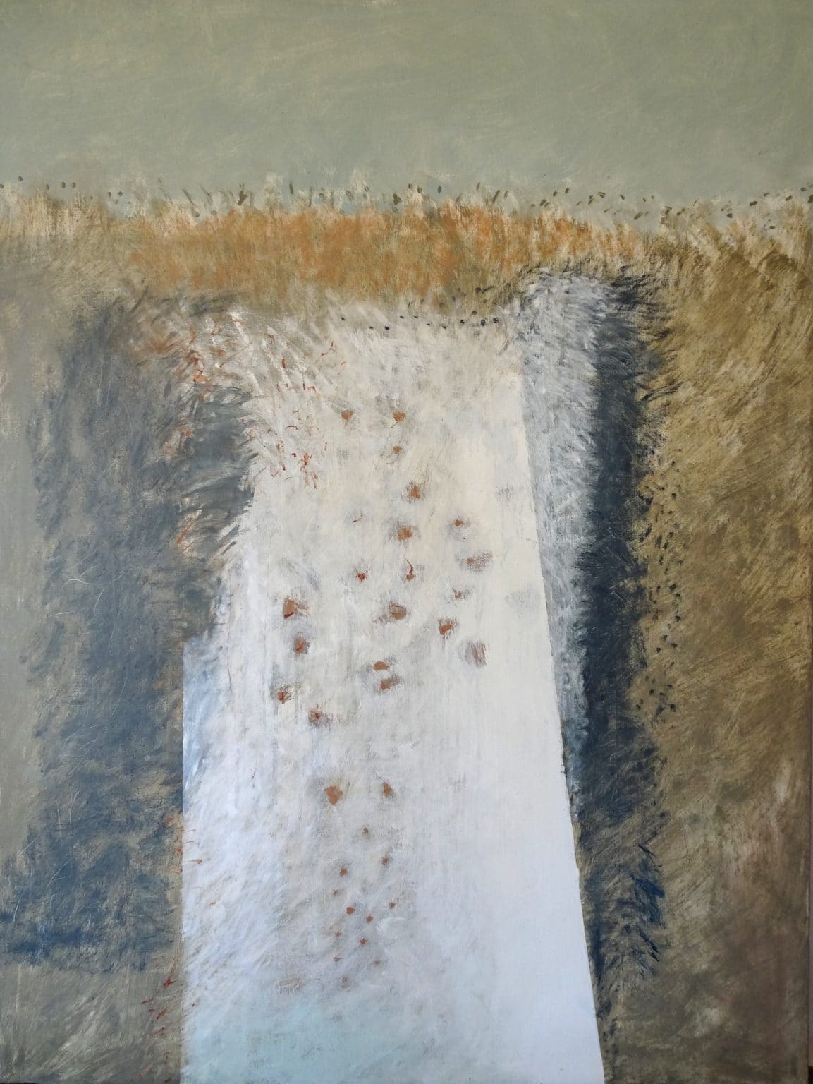 Toomas Kuusing – Vanakuri lendab ringi – SKUKT